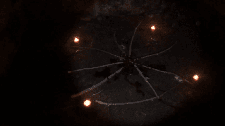 The Fear Footage Official Site: Reviews, Screenings, & News